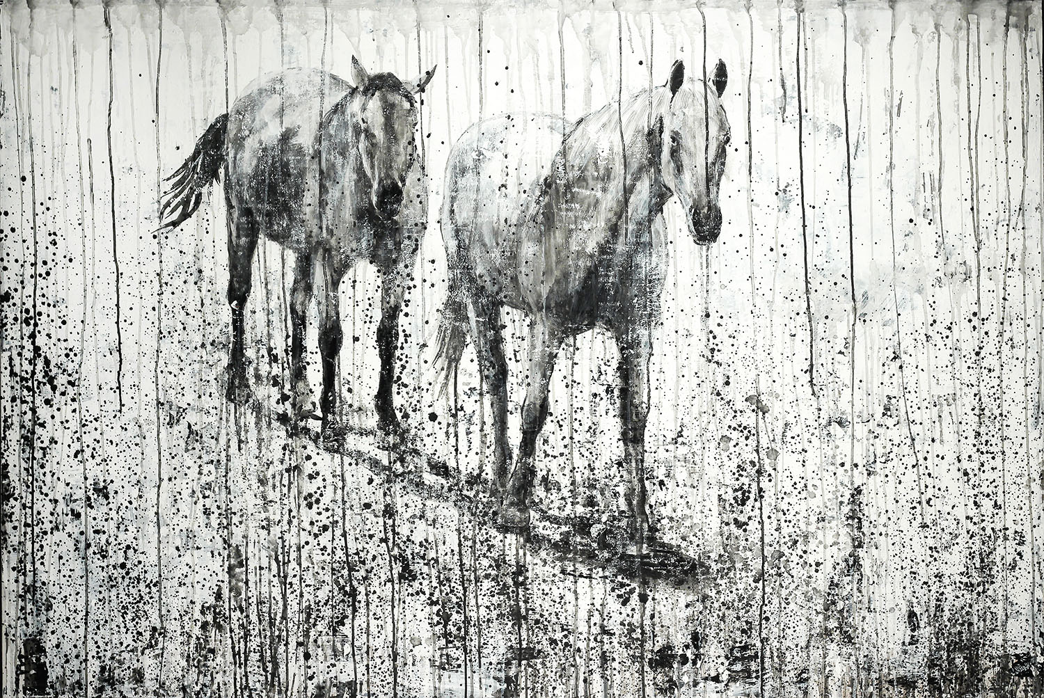 Matt Flint Reveals Wildlife Character in the Gloaming • Gallery MAR