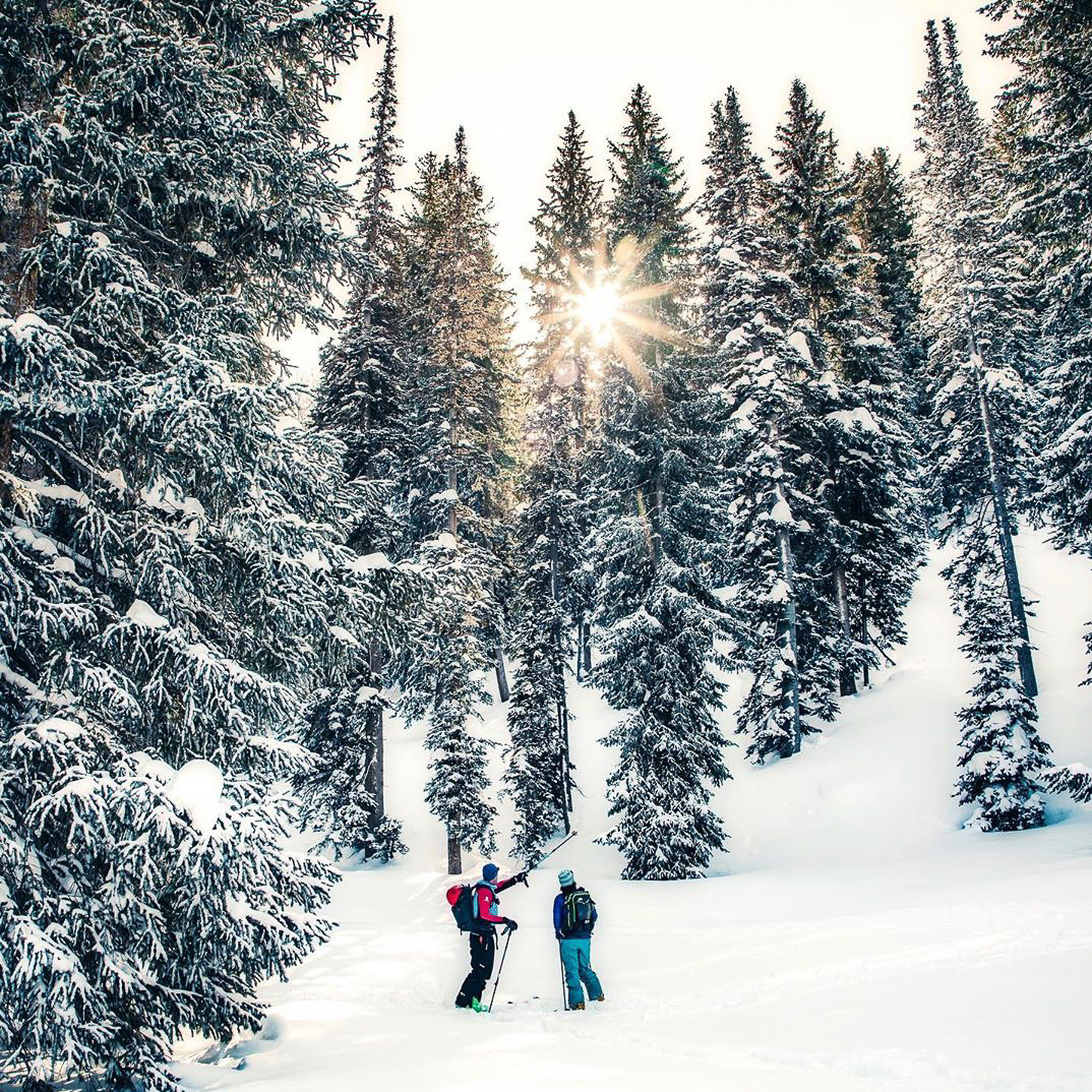 Fresh Art Meets Fresh Powder • Gallery MAR