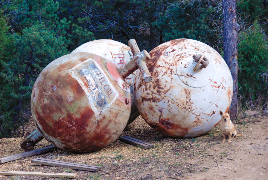 Jamie Burnes: Putting the Art in Earth • Gallery MAR